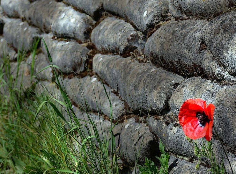 Dodengang (The Trench of Death) – Travels in Diksmuide – Dark Tourists