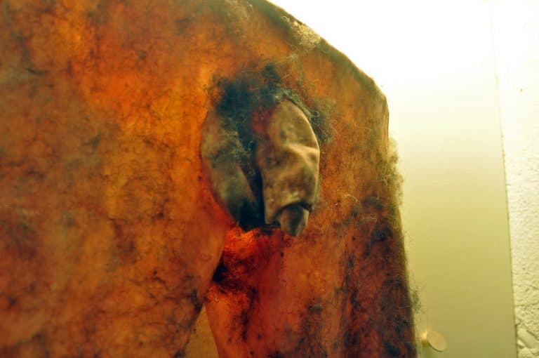 Necropants at the Museum of Icelandic Sorcery and Witchcraft – Dark ...